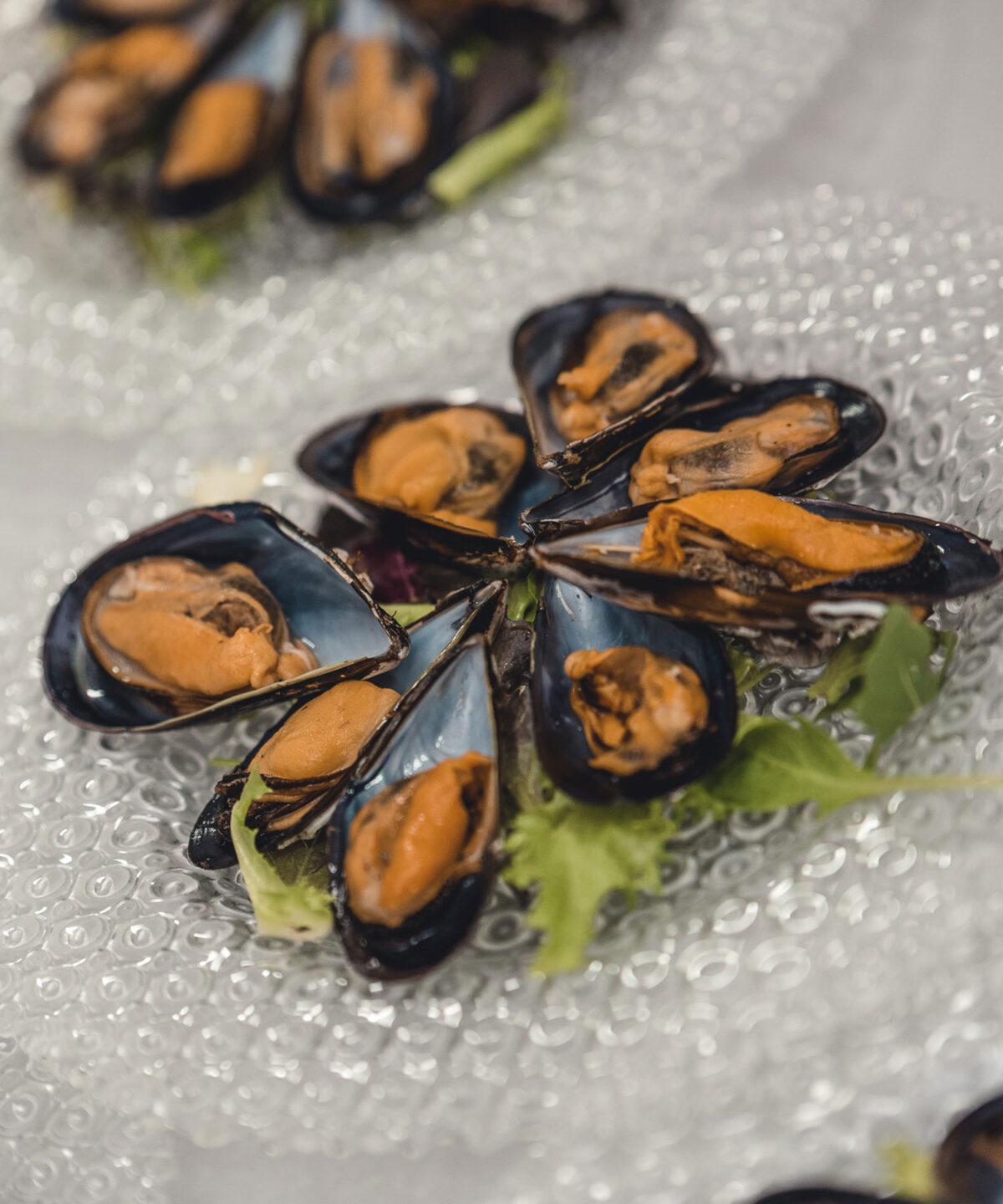 Conoce El Morito - Restaurante El Morito